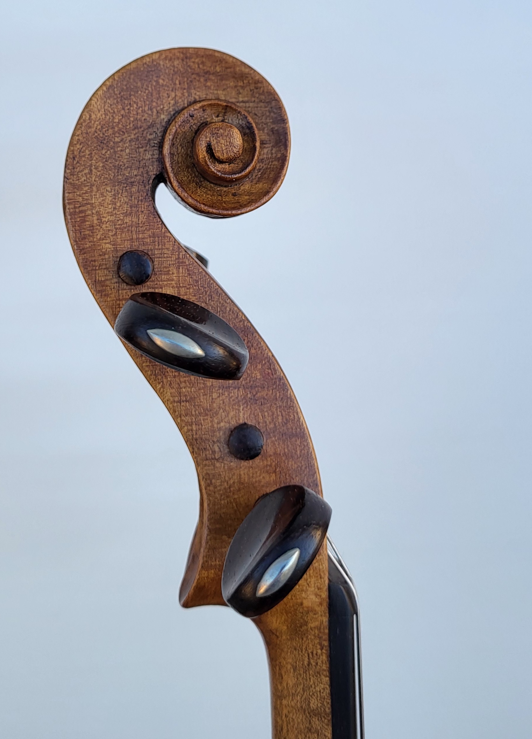 A late 19th-century German violin – The Conservatory Violin – Luke ...